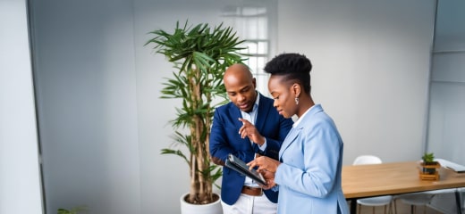 Organisational structure | Standard Bank